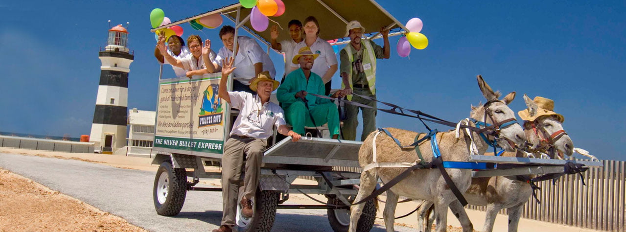 On-Site Activities | Port Elizabeth Beachfront Accommodation | Port ...